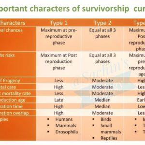 Survivorship Curves: All 3 Types And Their Important Examples